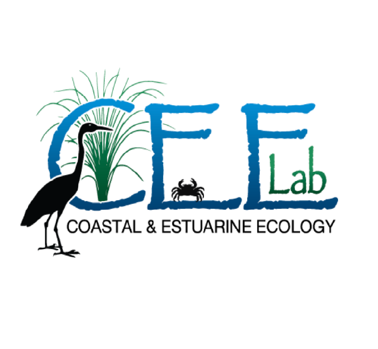CEELAB: Restoring Florida’s Estuaries Through Collaboration